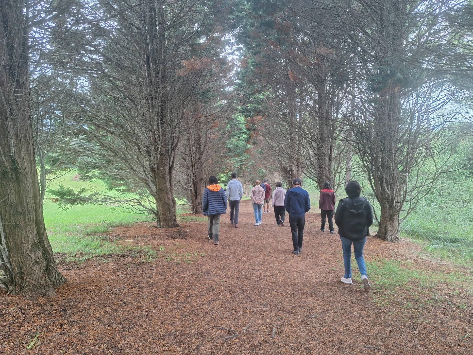 Los ecoejercicios fortalecen el vínculo entre Ecología y Acogida Ana ...